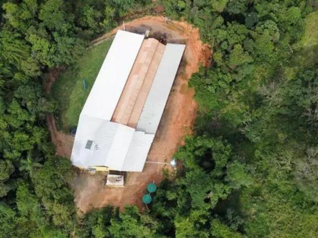 Fazenda para venda em Centro, Moeda