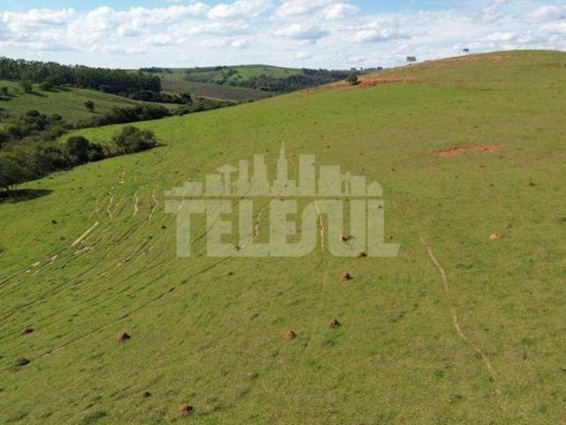 Fazenda para venda em Centro, Monsenhor Paulo