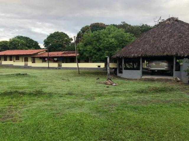 Fazenda para venda em Centro, Monte Alegre de Goiás