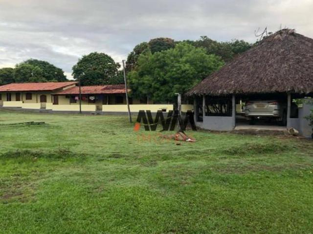 Fazenda para venda em Centro, Monte Alegre de Goiás