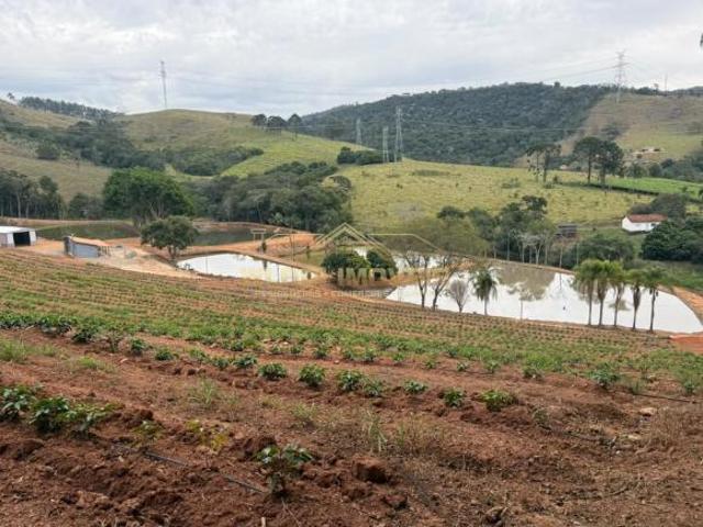 Fazenda para venda em Centro, Monte Alegre do Sul