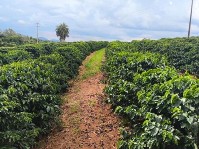 Fazenda para venda em Centro, Monte Santo de Minas