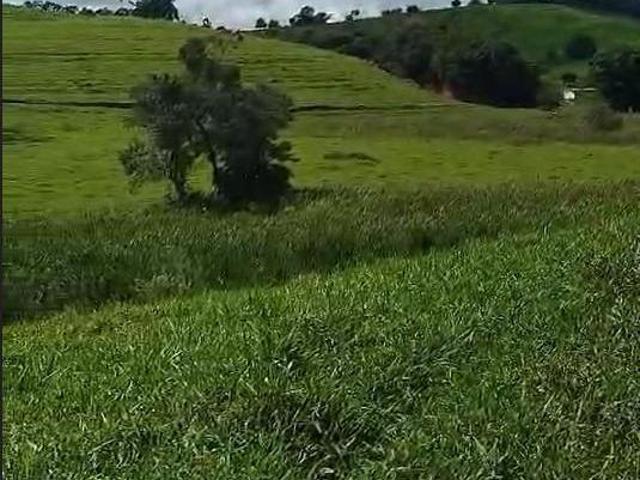 Fazenda para venda em Centro, Monte Sião
