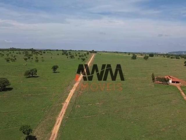 Fazenda para venda em Centro, Montes Claros de Goiás
