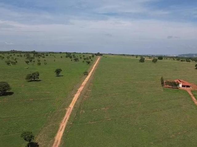 Fazenda para venda em Centro, Montes Claros de Goiás