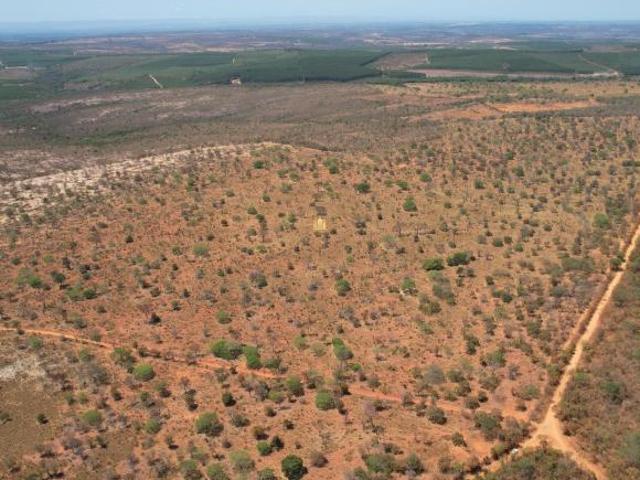 Fazenda para venda em Centro, Morro da Garça