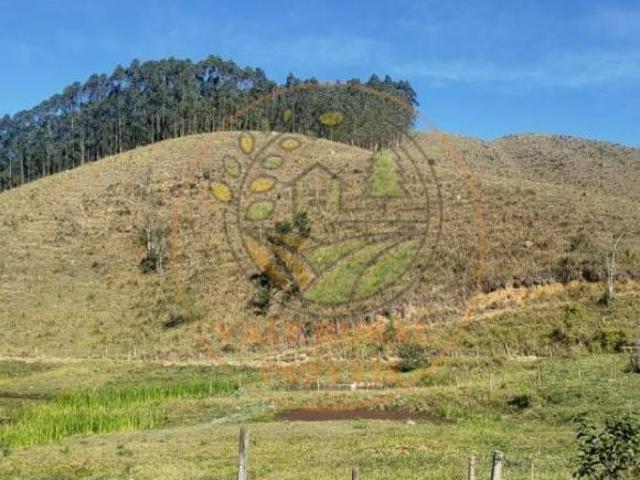 Fazenda para venda em Centro, Natividade da Serra