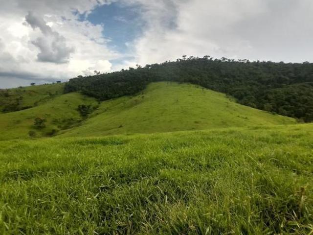Fazenda para venda em Centro, Nepomuceno