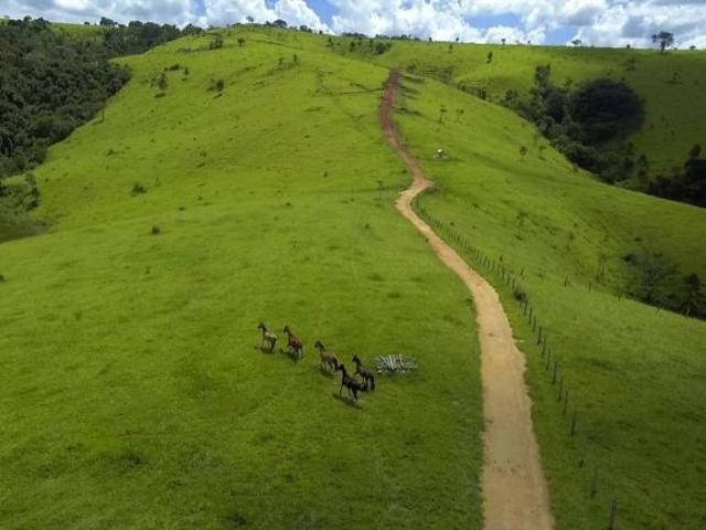 Fazenda para venda em Centro, Nepomuceno