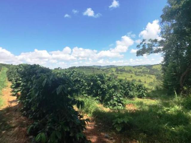Fazenda para venda em Centro, Nepomuceno