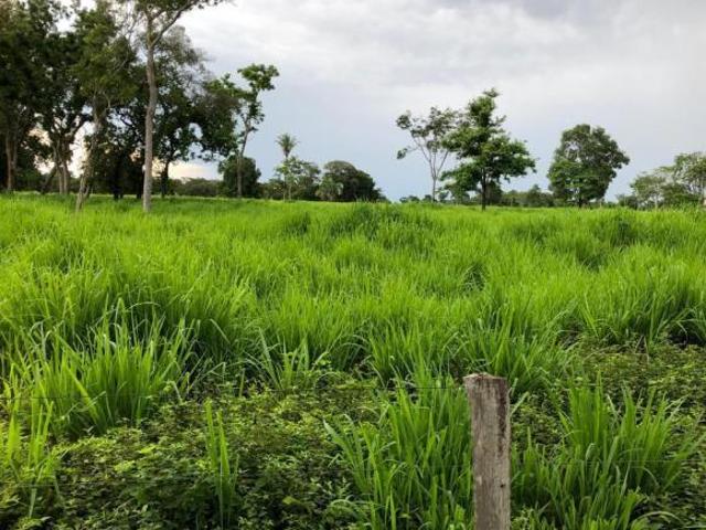 Fazenda para venda em Centro, Nossa Senhora do Livramento