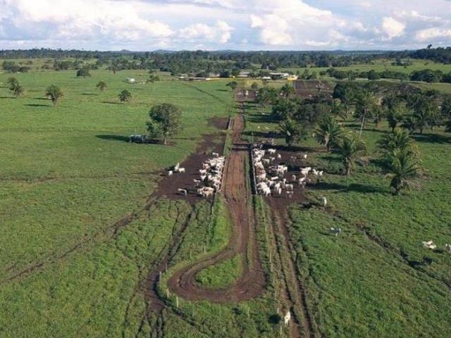 Fazenda para venda em Centro, Novo Horizonte do Norte