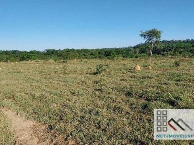 Fazenda para venda em Centro, Novo Mundo