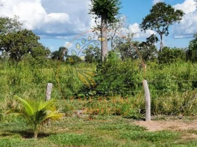 Fazenda para venda em Centro, Novo Santo Antônio