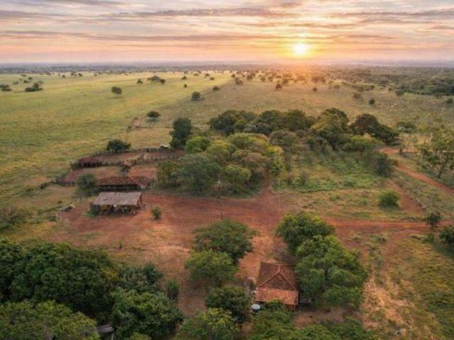 Fazenda para venda em Centro, Novo Planalto