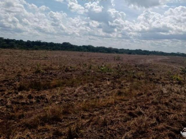 Fazenda para venda em Centro, Nova Brasilândia