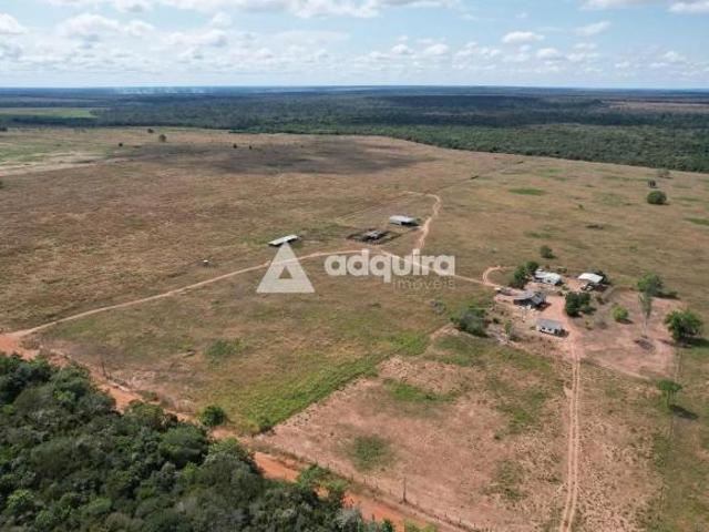 Fazenda para venda em Centro, Nova Maringá