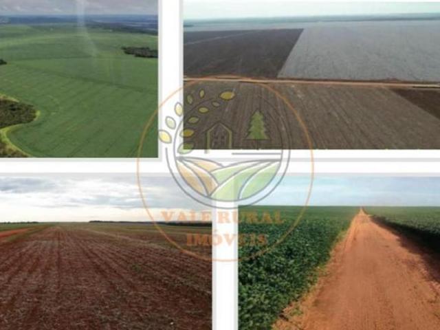 Fazenda para venda em Centro, Nova Mutum