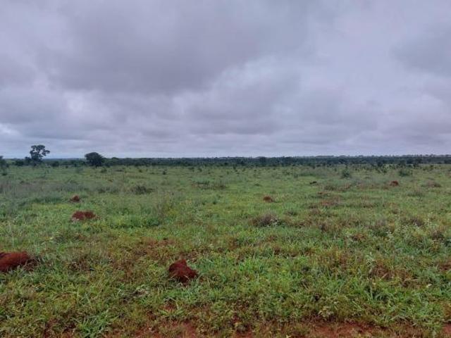 Fazenda para venda em Centro, Nova Nazaré