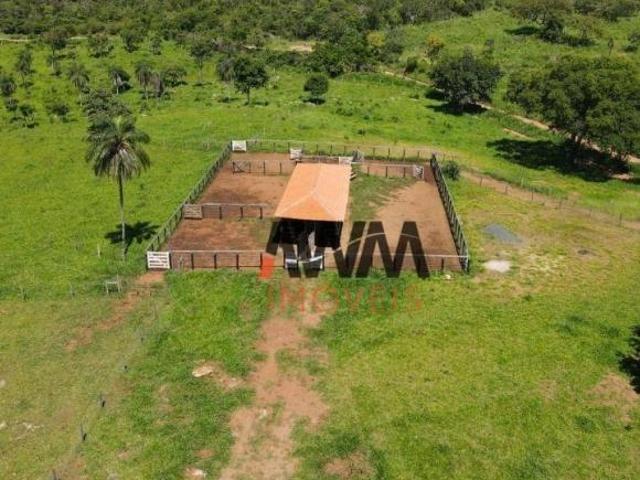 Fazenda para venda em Centro, Nova Roma