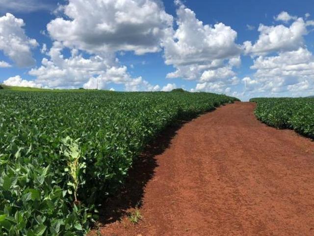 Fazenda para venda em Centro, Nova Ubiratã