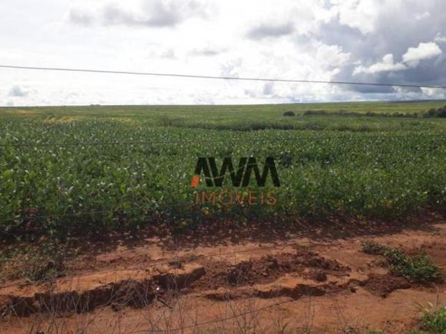 Fazenda para venda em Centro, Nova Xavantina