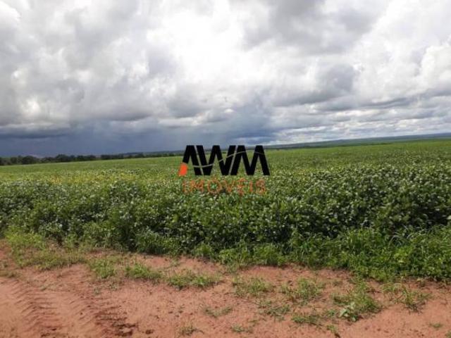 Fazenda para venda em Centro, Nova Xavantina