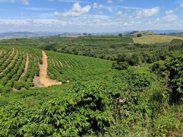 Fazenda para venda em Centro, Ouro Fino