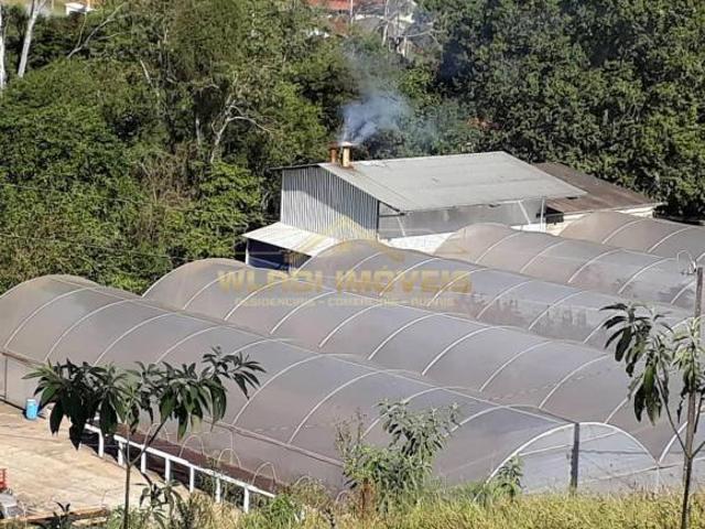 Fazenda para venda em Centro, Ouro Fino
