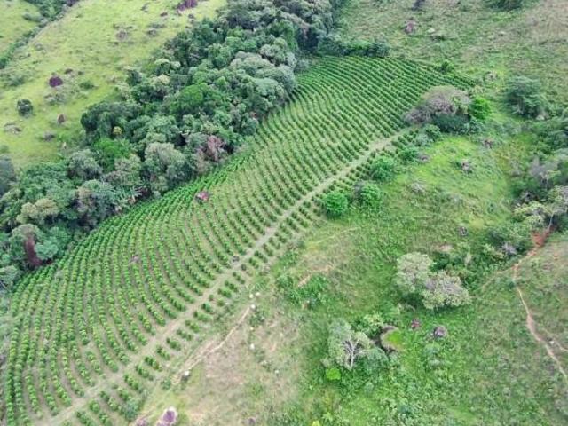 Fazenda para venda em Centro, Ouro Fino