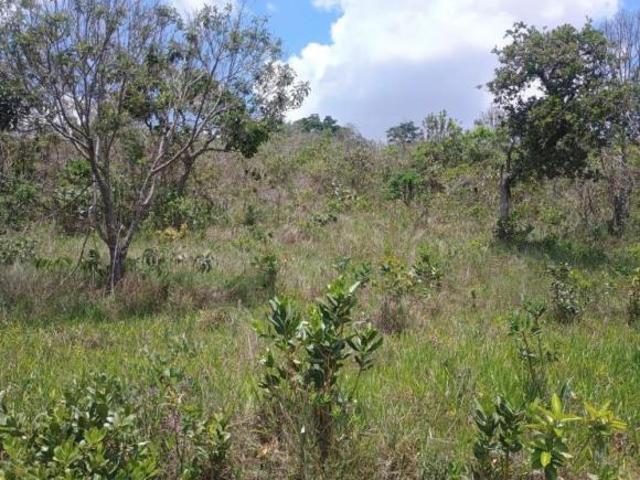 Fazenda para venda em Centro, Oliveira