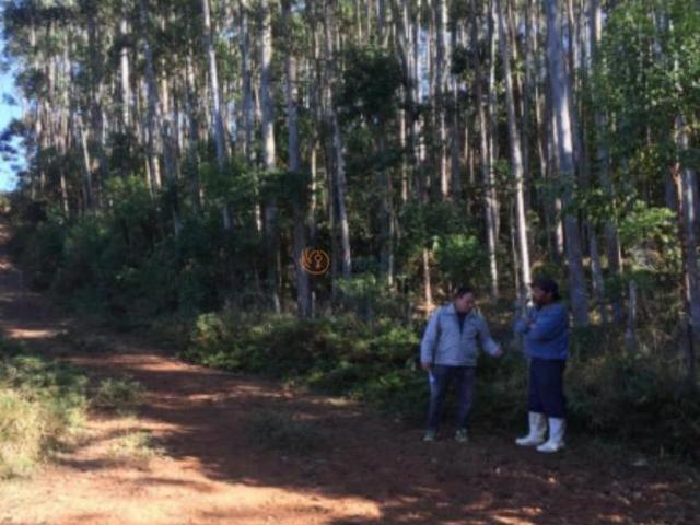 Fazenda para venda em Centro, Avaré