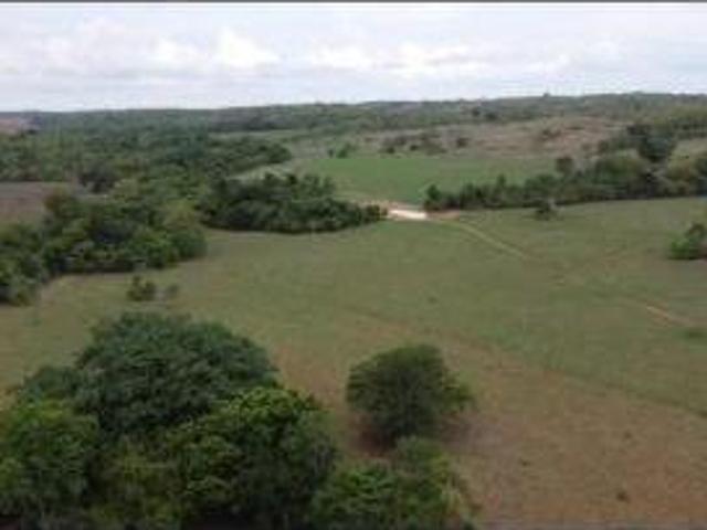 Fazenda para venda em Centro, Acorizal