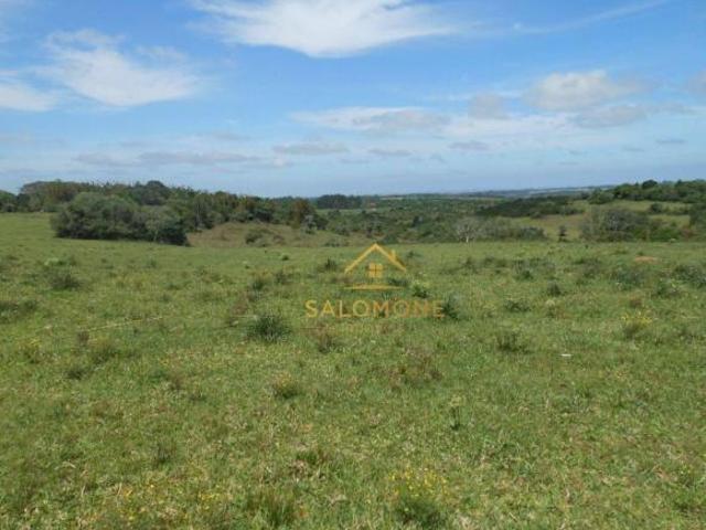 Fazenda para venda em Centro, Águas Claras
