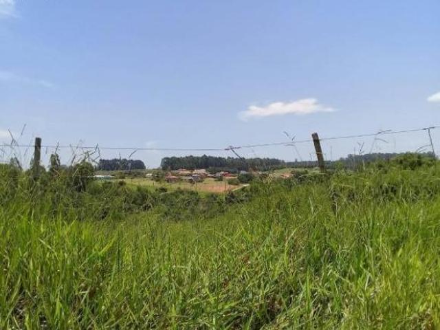 Fazenda para venda em Centro, Alambari