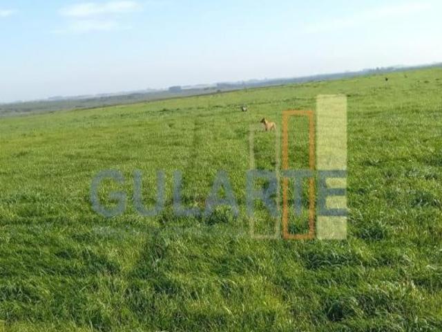 Fazenda para venda em Centro, Alegrete