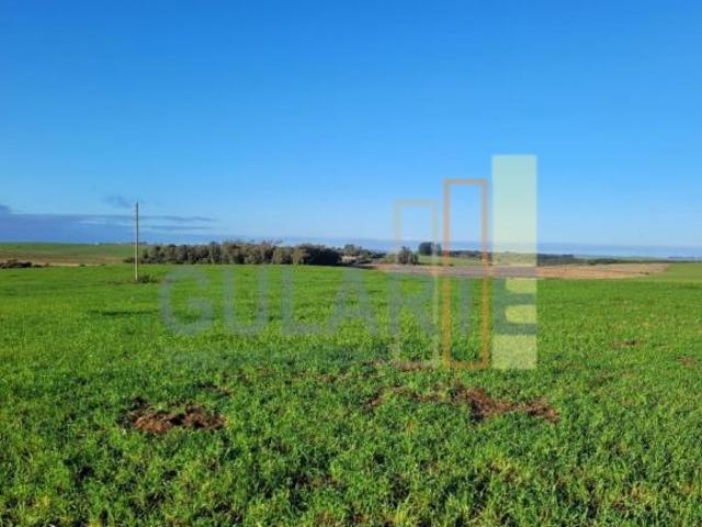 Fazenda para venda em Centro, Alegrete