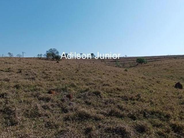 Fazenda para venda em Centro, Alfenas