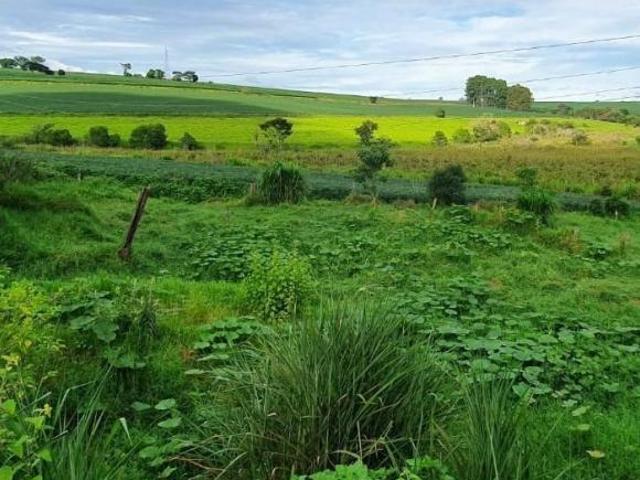 Fazenda para venda em Centro, Alfenas