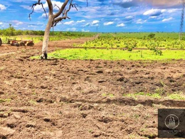 Fazenda para venda em Centro, Alto Araguaia