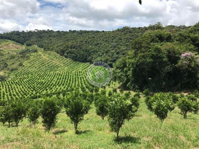 Fazenda para venda em Centro, Alto Rio Doce