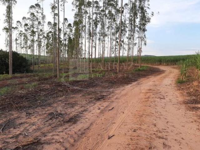 Fazenda para venda em Centro, Altinópolis