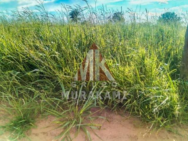 Fazenda para venda em Centro, Amambai