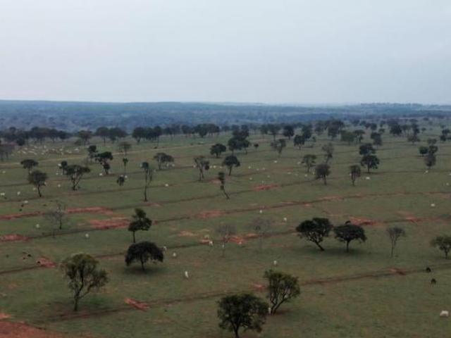 Fazenda para venda em Centro, Amambai