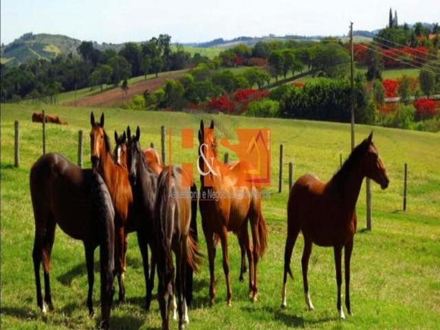 Fazenda para venda em Centro, Amparo