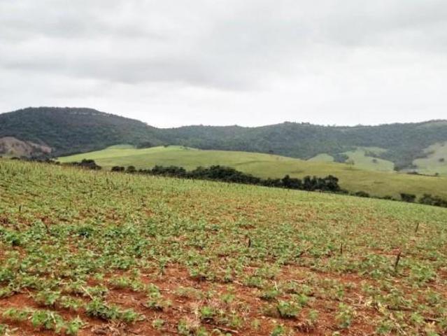 Fazenda para venda em Centro, Andrelândia