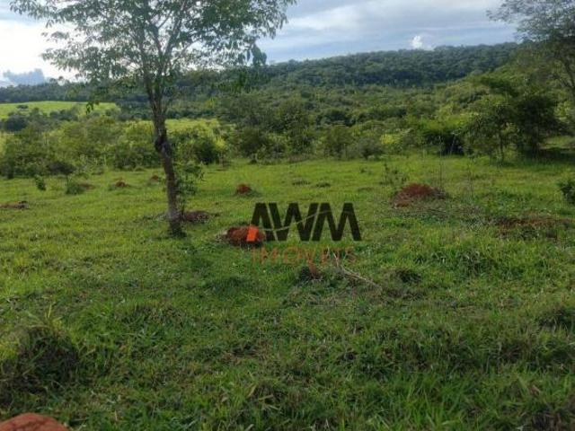 Fazenda para venda em Centro, Anicuns