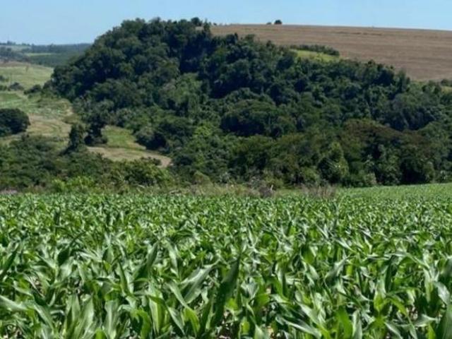 Fazenda para venda em Centro, Araçoiaba da Serra