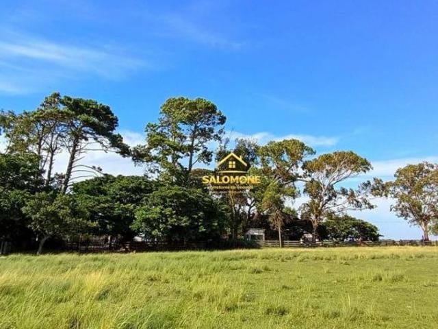 Fazenda para venda em Centro, Arambaré