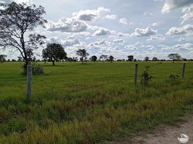 Fazenda para venda em Centro, Araguaiana
